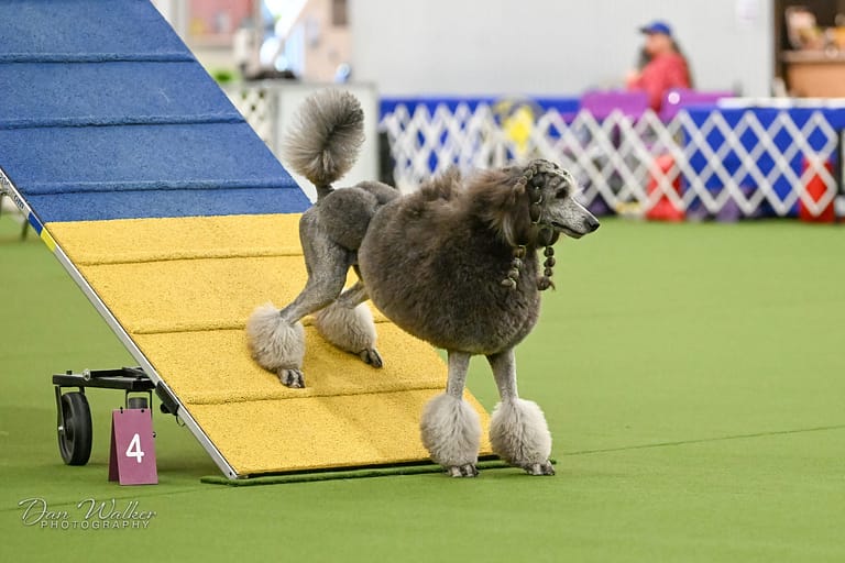 Home - Dan Walker Photography