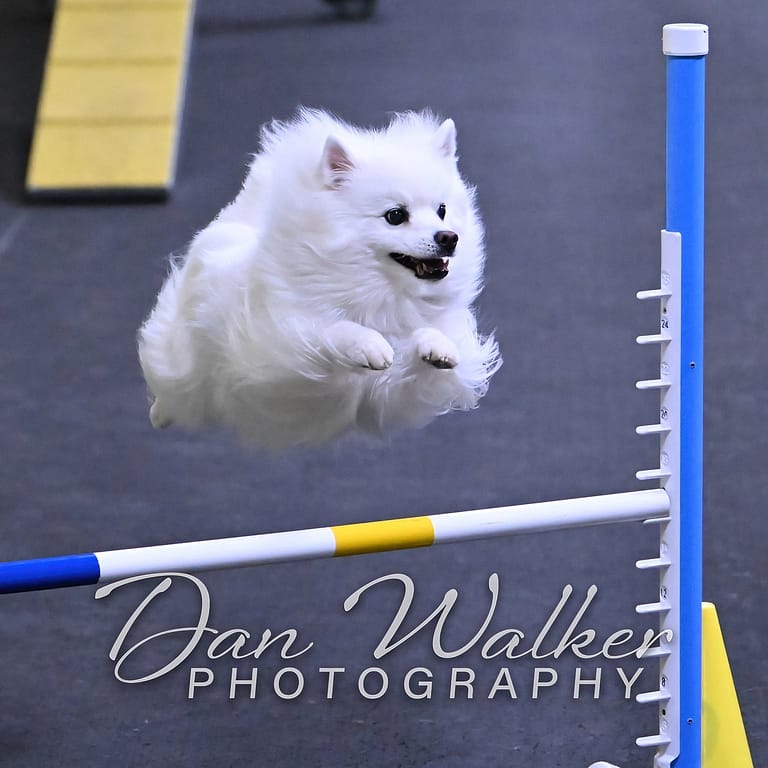 Home - Dan Walker Photography