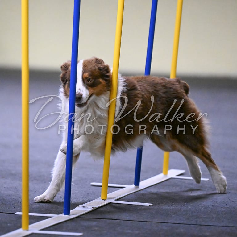 Home - Dan Walker Photography