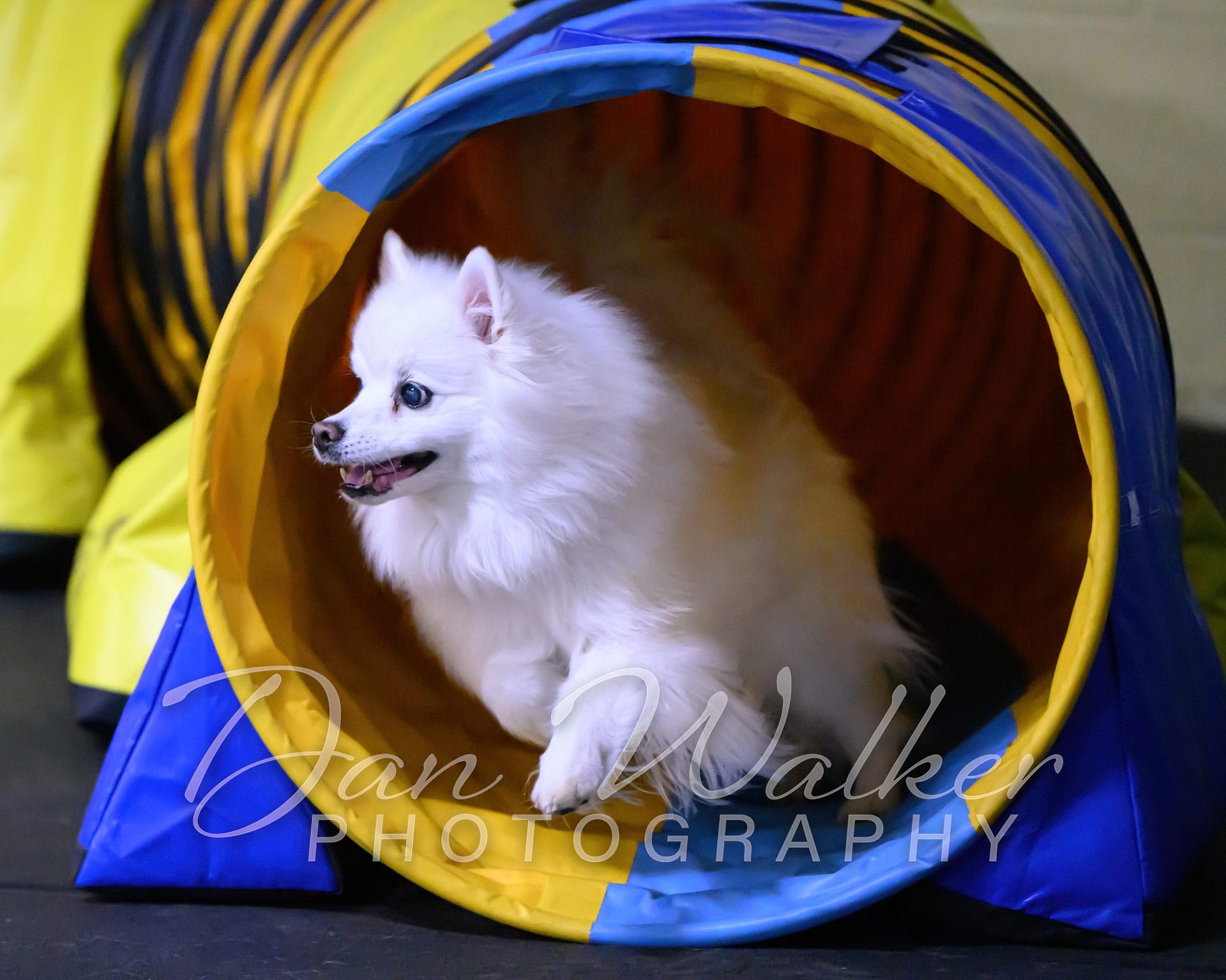 Home - Dan Walker Photography